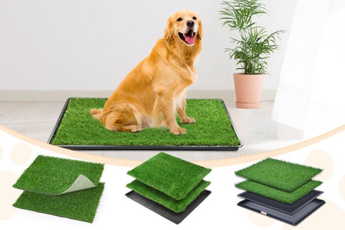 What Is Dog Grass Pee Pad – grasspeepad.com