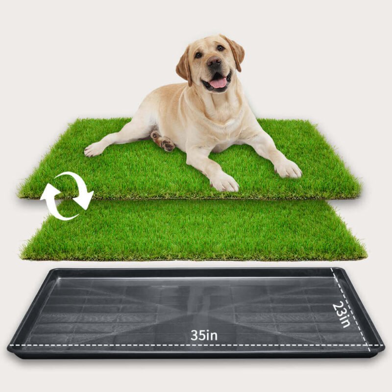 Dog Grass Pee Pad – grasspeepad.com
